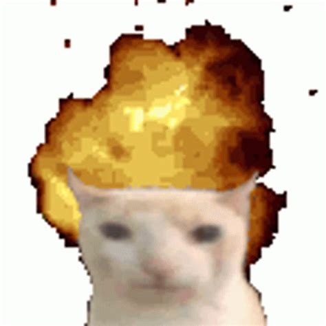 Cat Explosion Sticker Cat Explosion Découvrir et partager des