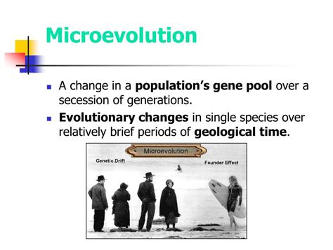 Ppt Population Evolution Microevolution Powerpoint Presentation