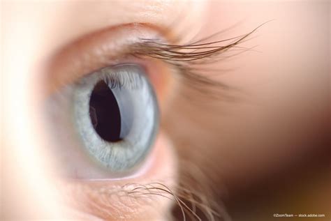 Study Examines Gene Expression Signatures Of Human Senescent Corneal
