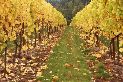 Convert Spreadsheet To Json With Regard To Spreadsheets Getting You Down Converting Row Data To