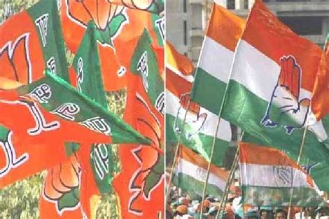 Karnataka Assembly Elections Congress Sweeps 12 Seats In Karnataka