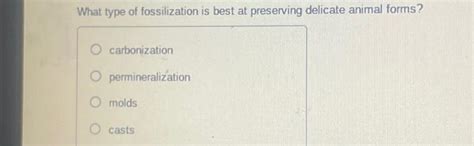 Solved What Type Of Fossilization Is Best At Preserving