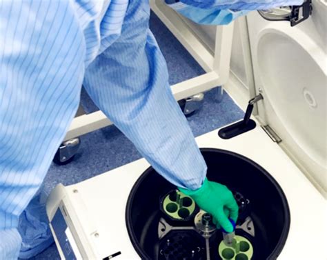 Methods And Precautions For Preserving Common Flow Cytometry Samples