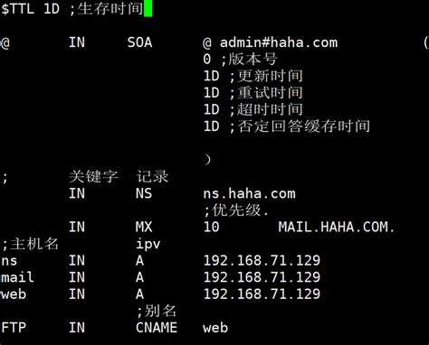linux系统中配置dns服务器 linux配置dns csdn博客