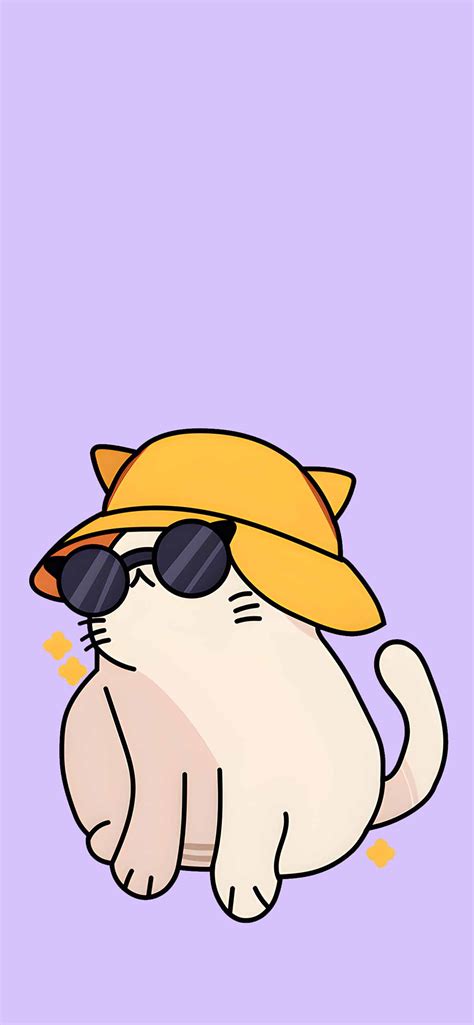 Cute Summer Kitty Wallpapers Aesthetic Kawaii Wallpapers Iphone