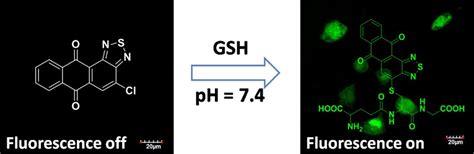Development Of A Novel Benzothiadiazole Based Fluorescent Turn On Probe For Highly Selective