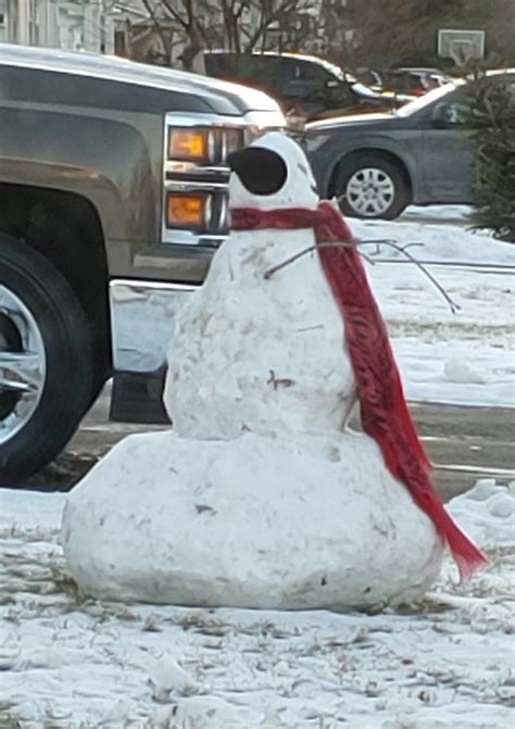 Frosty The Sex Toy Rfunny