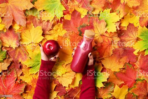 女性手捧一瓶紅飲料 冰沙或果汁從蔬菜水果和漿果蘋果甜菜根在葉子背景秋季素食和素食概念頂部視圖 照片檔及更多 人 照片 Istock