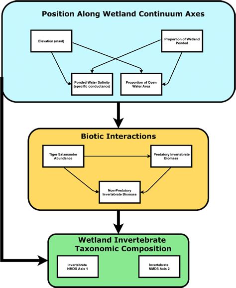 Path Diagram Of Observed Variable Measurement Model Linking