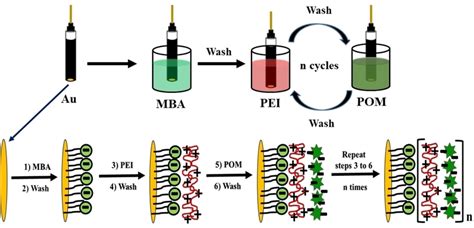 A Schematic Representation Of The Lbl Method For Immobilising Nh4p5w30