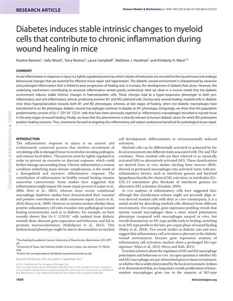 PDF Diabetes Induces Stable Intrinsic Changes To Myeloid Cells That Contribute To Chronic
