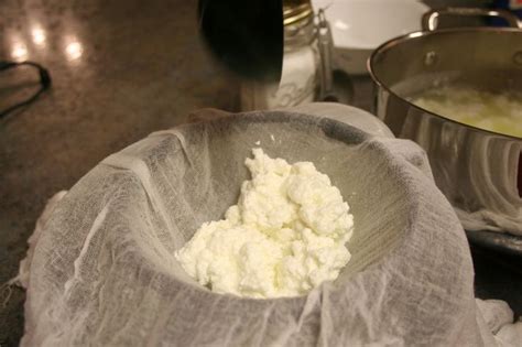 Homemade Ricotta Goat Cheese Homemade Ricotta Recipe Ricotta Clean