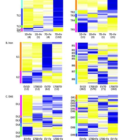 Heatmaps Of Differentially Expressed Genes Z Scores Of Differentially