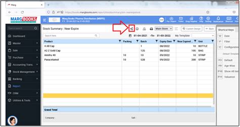 How To View Near Expiry Report In Marg Books