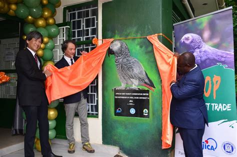 African Grey Parrot Conservation Centre Opened At Uwec