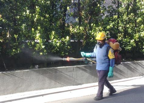 士林區也爆病例！北市再增2例登革熱 累計10例本土「分布5行政區」 Ettoday健康雲 Ettoday新聞雲