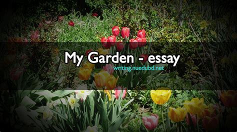 My Garden Essay