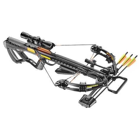 Compound Crossbow Artofit
