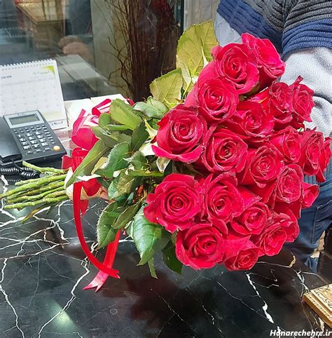 19 عکس از گل رز طبیعی زیبا و دلربا