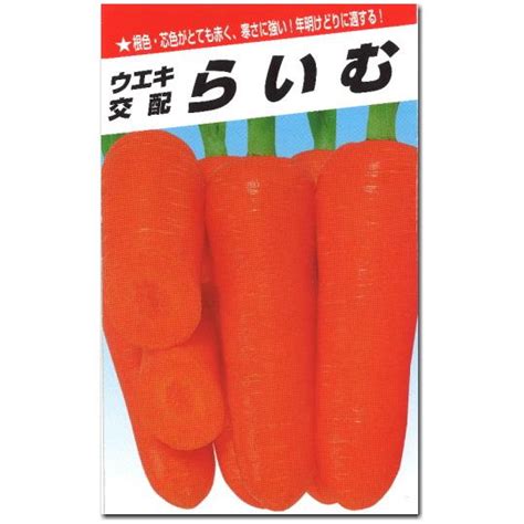 【楽天市場】【 らいむ五寸 】 人参 種 ニンジン にんじん 種子 横浜植木 キダネ コート種子：さとうのタネ 楽天市場店