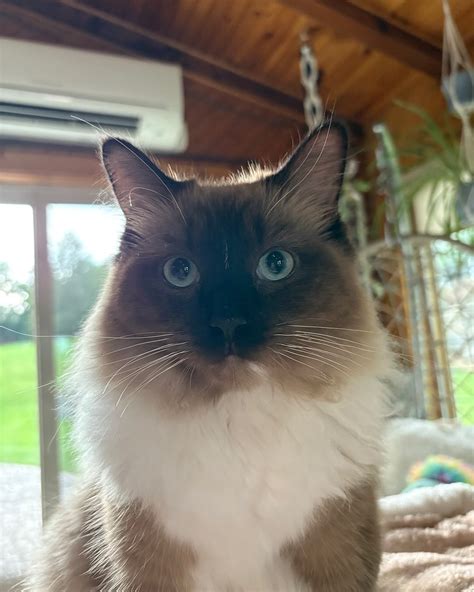 Marlene Apuzzo Portnoy Marleneapuzzoportnoy • Instagram Photos And Videos