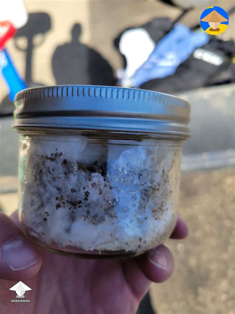 Wrong Filters For Grain Jars Or Temperature Influence More In Comments