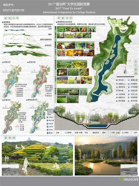 寻“稻”——深圳茅湖山体修复与景观生态规划 主题竞赛 园冶杯国际竞赛组委会 Powered By Discuz