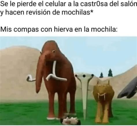 Sigo Vivo Cabrones Rmaau