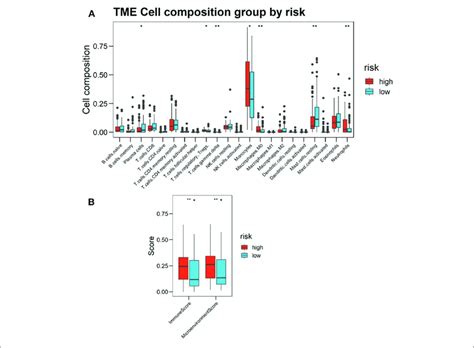 Landscape Of Immune Infiltration In The Bone Marrow Bm Of Acute
