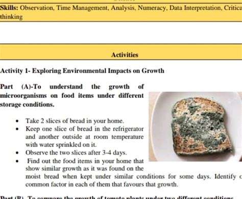 Skills Observation Time Management Analysis StudyX