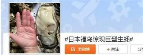 日本福岛核灾区惊现巨大生蚝？ 搜狐