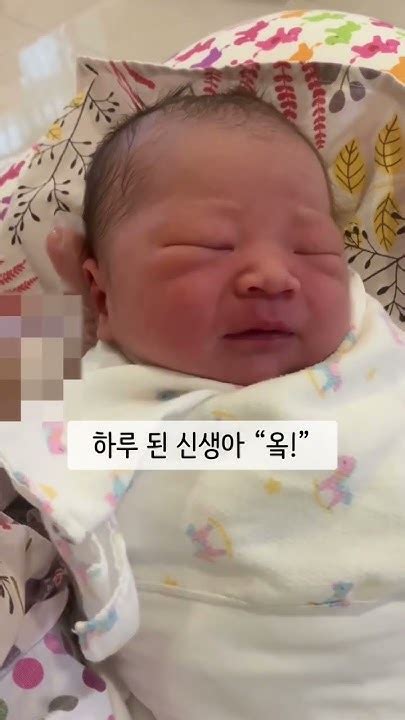 신생아 호랑이띠아기 Youtube