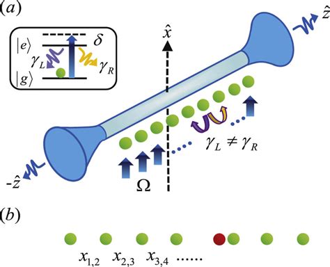 Schematic Driven Chiral Coupled Atomic Chain A A One Dimensional