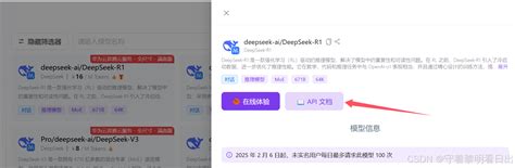 硅基流动deepseekpythonpython守着黎明看日出 Deepseek技术社区