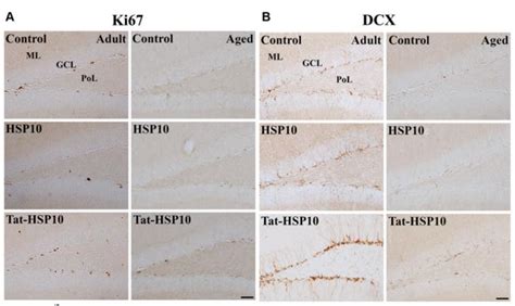 Figure 3 [image] Eurekalert Science News Releases