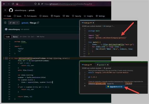 edward tanguay on linkedin go modules skill make a custom go module