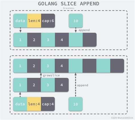 Golang 引用类型的浅拷贝与深拷贝 Golang教程网