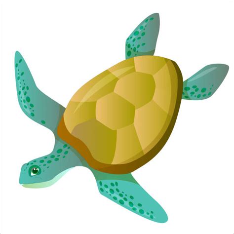 Sea Turtle Isolated イラスト素材 Istock