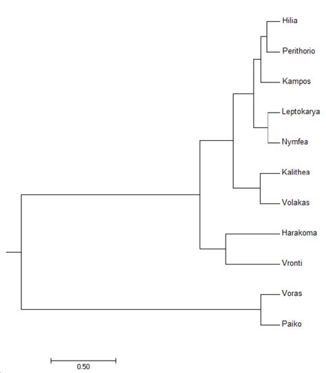 Upgma Dendrogram Based On The Genetic Distance δμ 2 Download