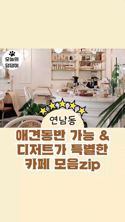 연남동애견동반카페 And 디저트가 특별한 카페 모음zip Youtube