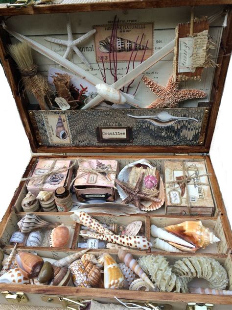 seashell art seashell crafts beach crafts seashell display foto