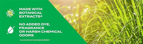 Stem Kills Ants Roaches And Flies Plant Based Active