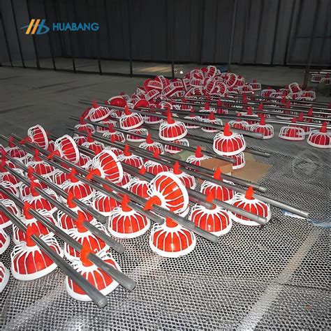 Poultry Automatic Chicken Feeder Line System