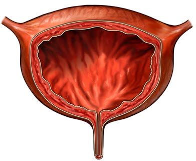 Descubrimiento de nuevos factores genéticos que provocan cáncer de ...