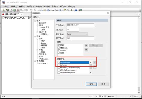 Win10下使用securecrt连接速度慢问题的解决windows Scrt 连接机子慢 Csdn博客