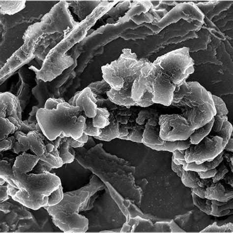 Sem Image Of Early Solidification Ti Modified Graphite From Sample Download Scientific Diagram