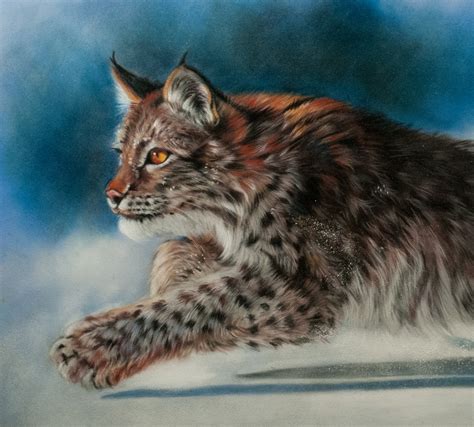 Siberian Bobcat Kay Witt Siberian Bobcat Kay Witt