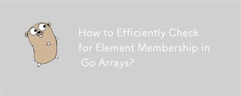 如何有效率地檢查 Go 陣列中的元素成員資格? Golang Php中文網 如何有效率地檢查 Go 陣列中的元素成員資格? Golang Php中文網