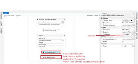 How Can I Rollback The Bulk Inserted Queue Item From Queue Activities