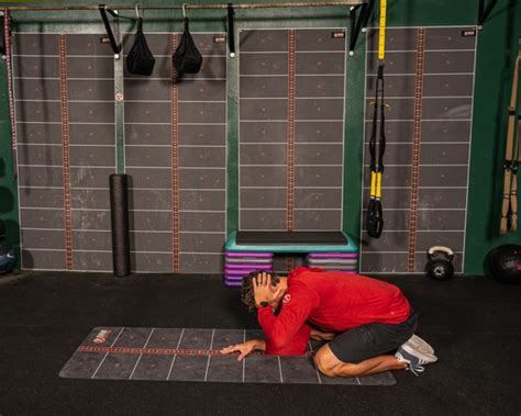 Quadruped Spine Rotation Bammetrics Improve Your Mobility